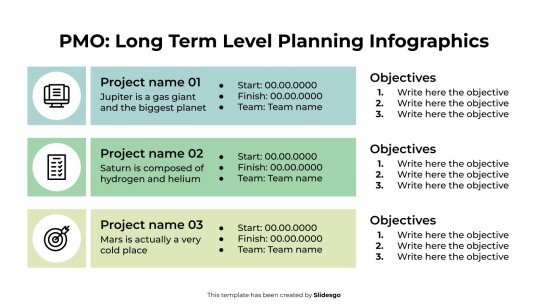PMO: Long Term Level Planning Infographics Template