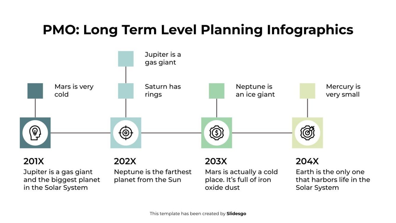 PMO: Long Term Level Planning Infographics Template