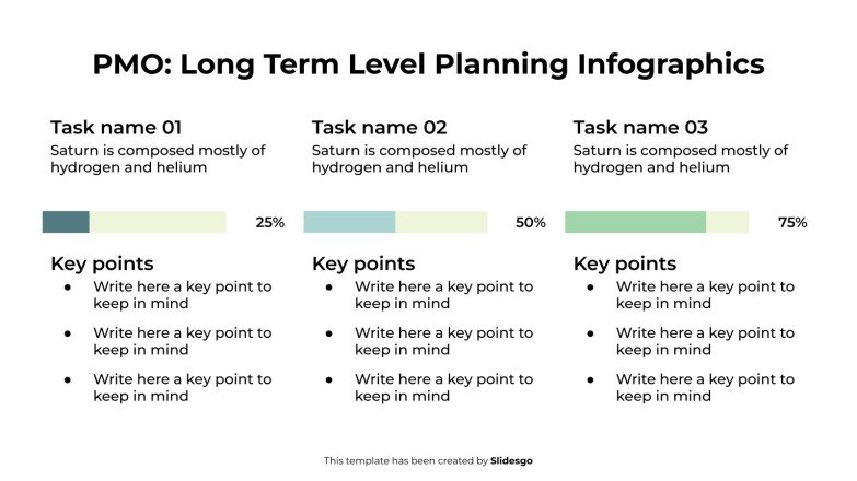 PMO: Long Term Level Planning Infographics Template