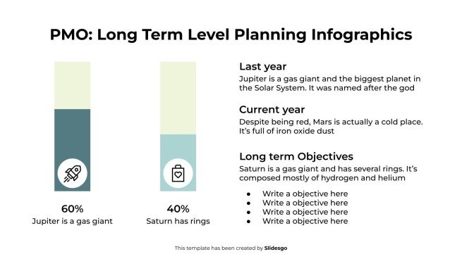 PMO: Long Term Level Planning Infographics Template