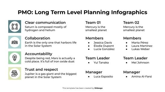 PMO: Long Term Level Planning Infographics Template