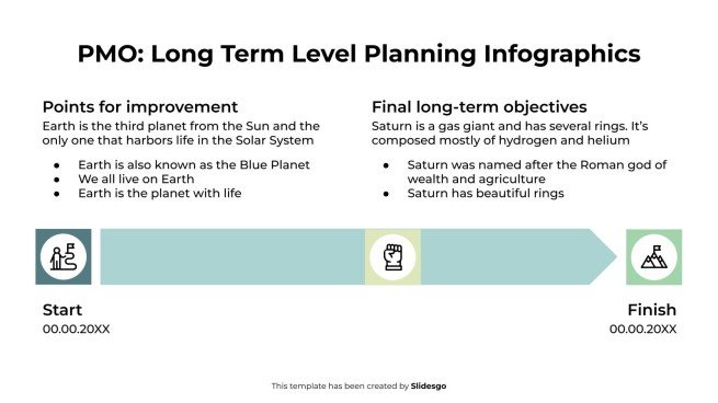 PMO: Long Term Level Planning Infographics Template