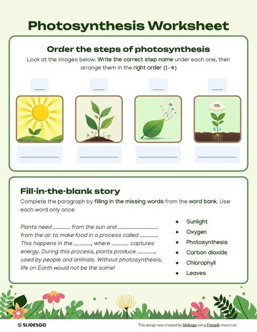Photosynthesis Worksheet Template