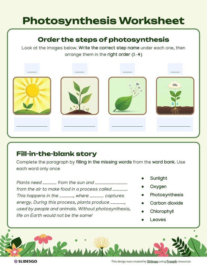 Photosynthesis Worksheet Template