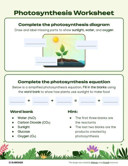 Photosynthesis Worksheet Template