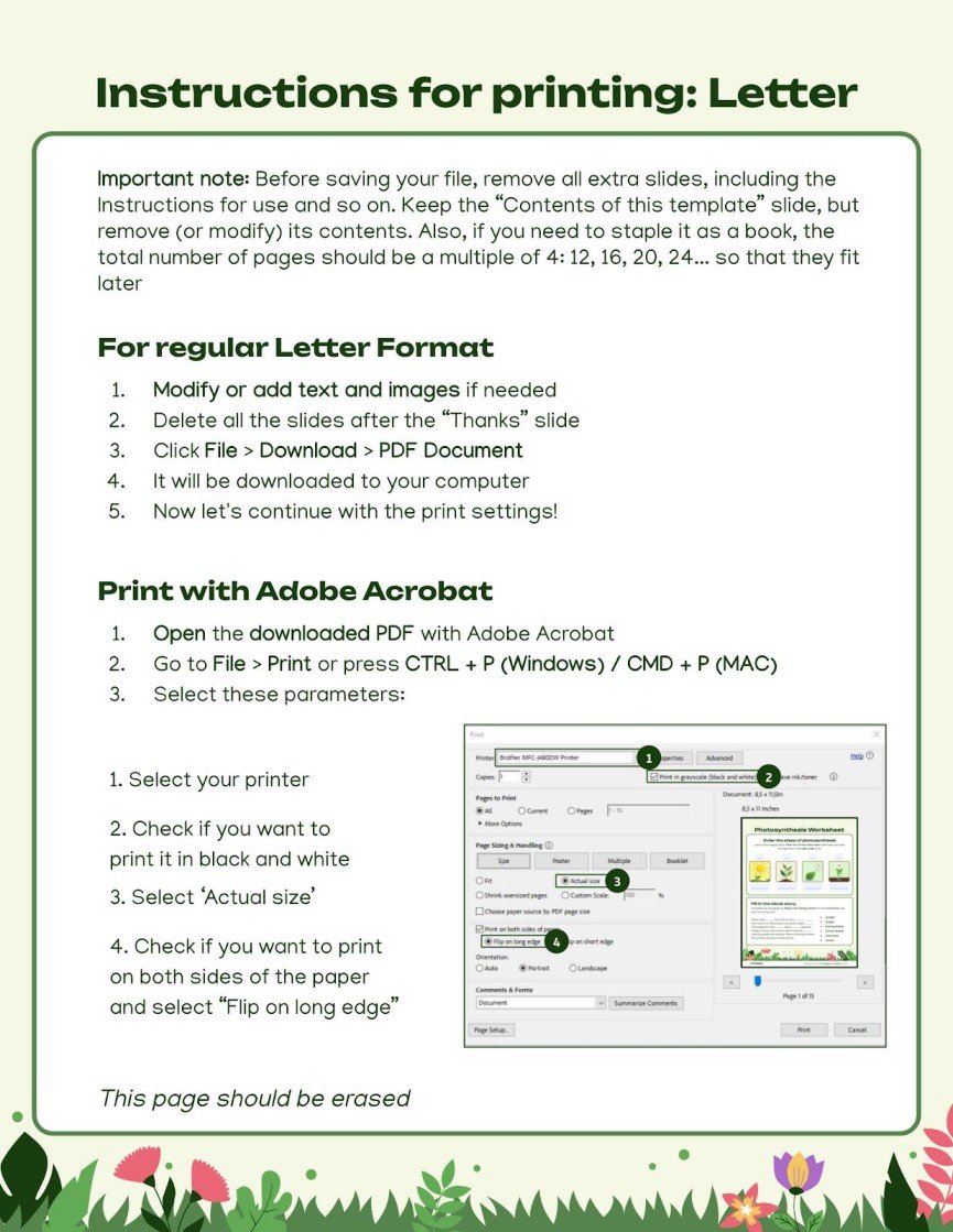 Photosynthesis Worksheet Template