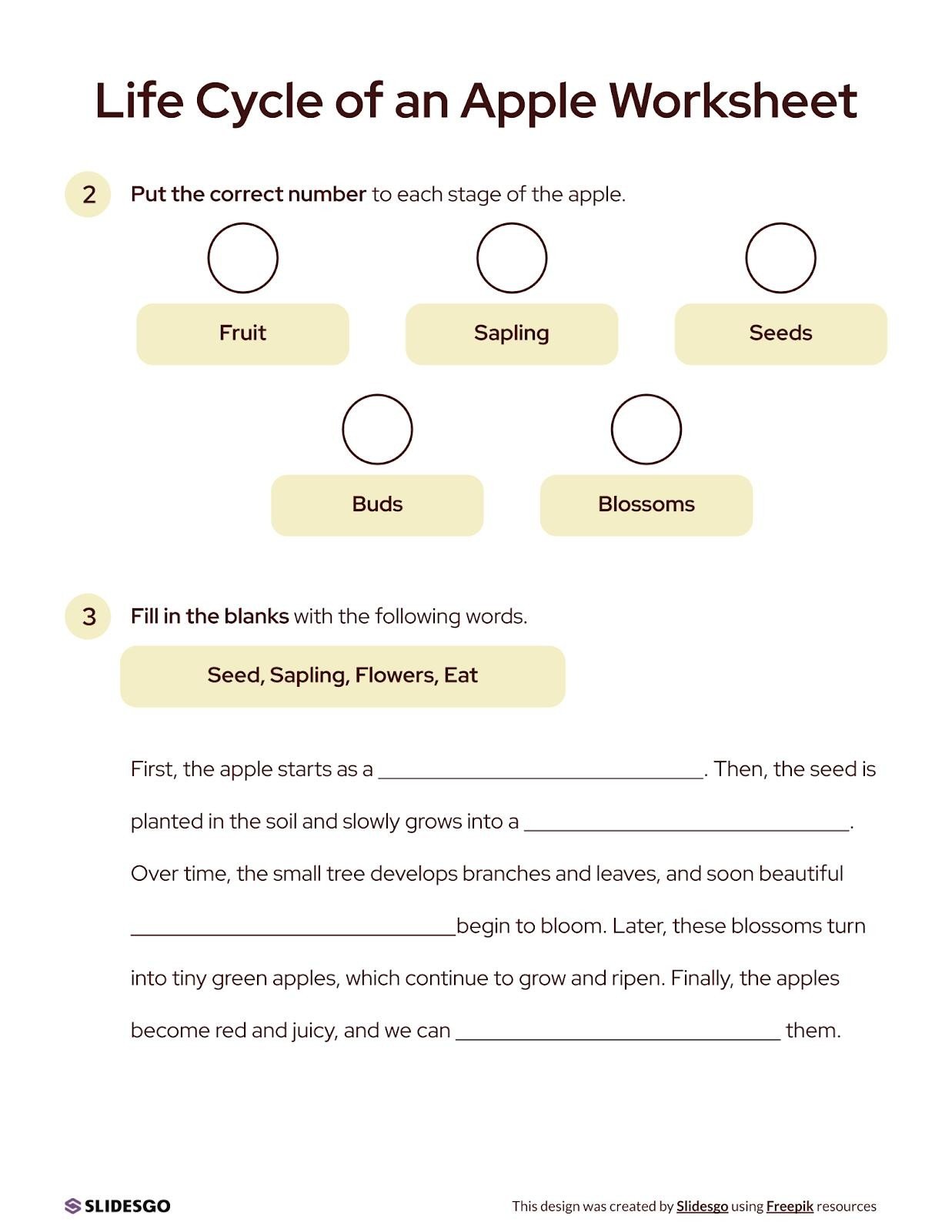 Life Cycle of an Apple Worksheet Template