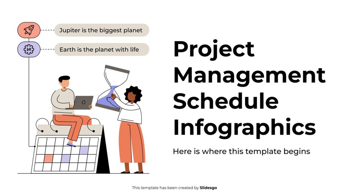 Project Management Schedule Infographics Template