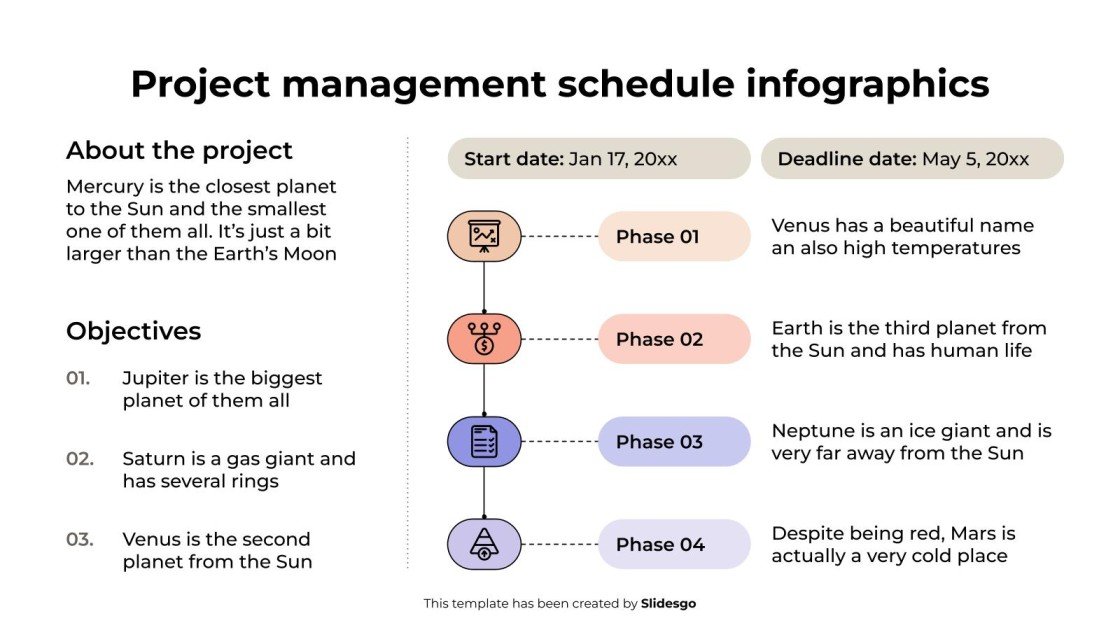 Project Management Schedule Infographics Template