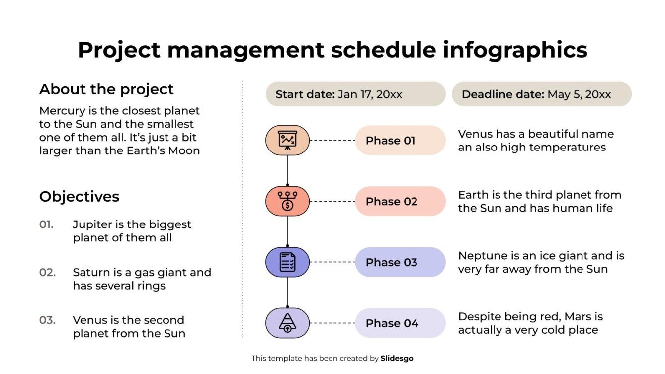 Project Management Schedule Infographics Template