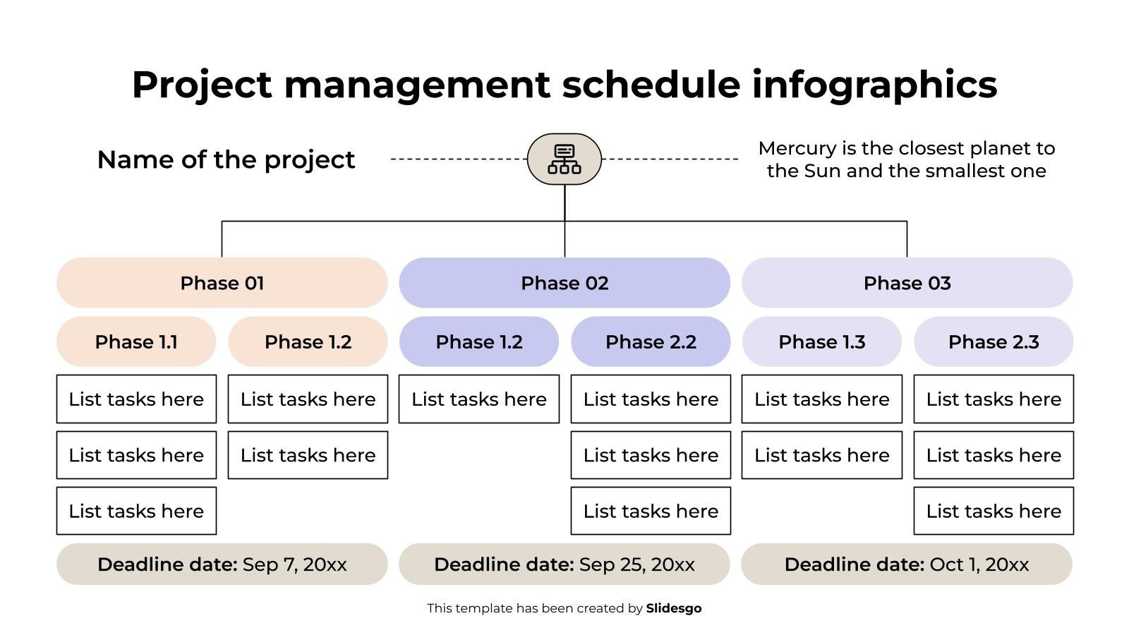 Project Management Schedule Infographics Template