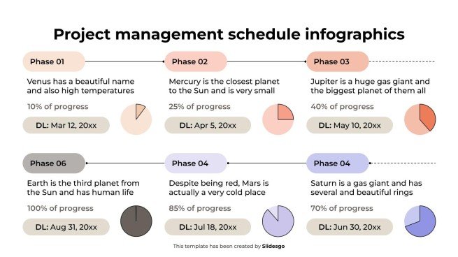 Project Management Schedule Infographics Template