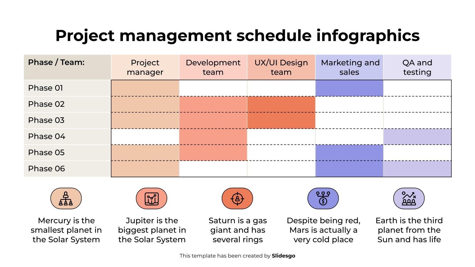 Project Management Schedule Infographics Template