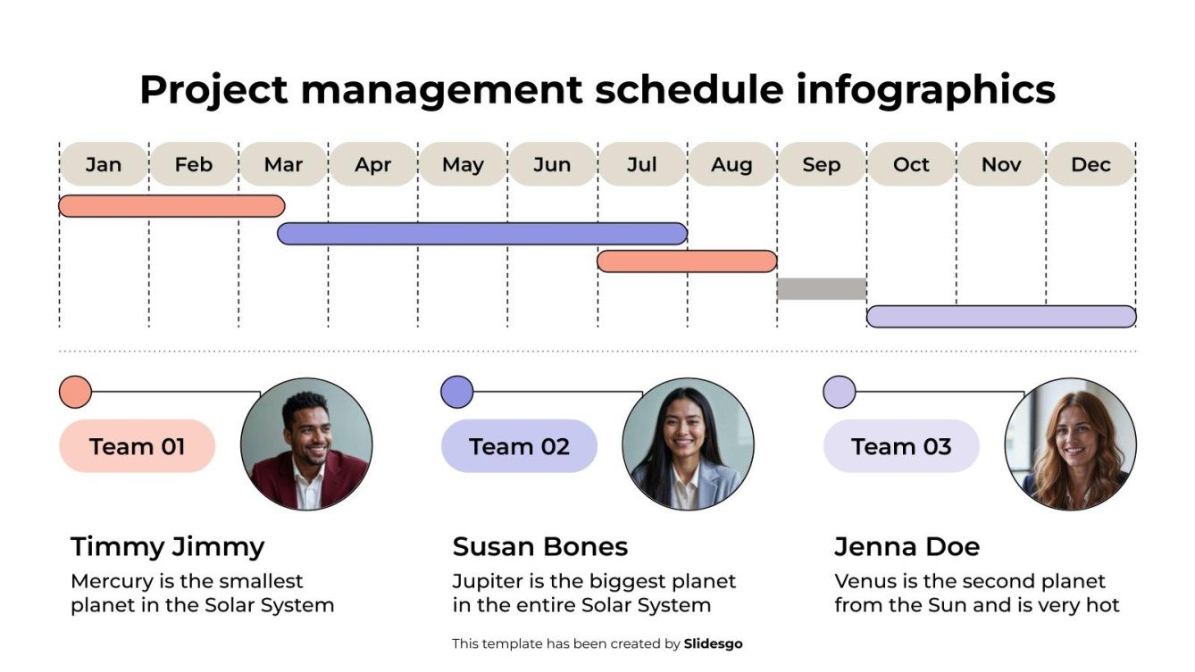 Project Management Schedule Infographics Template