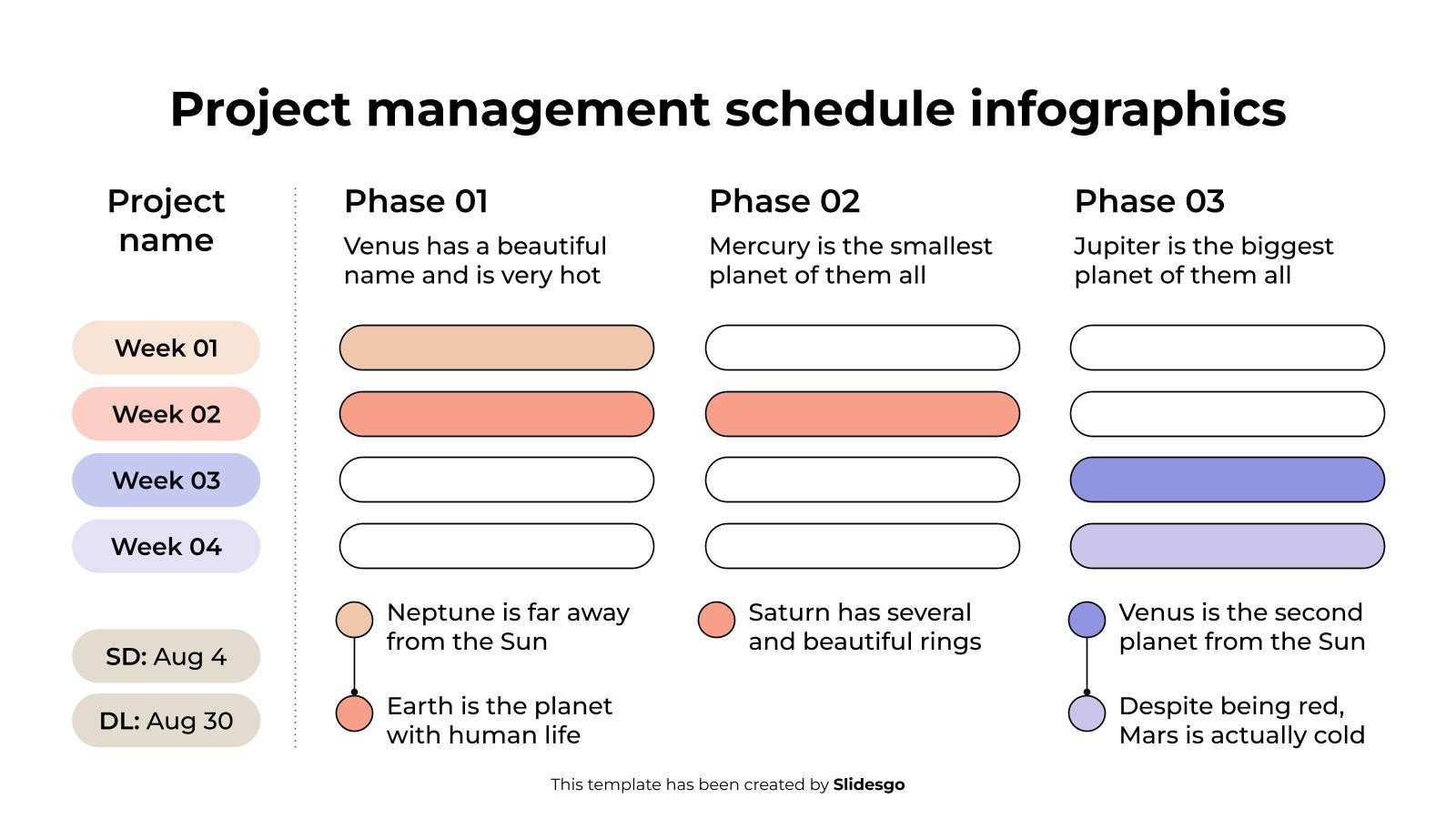 Project Management Schedule Infographics Template