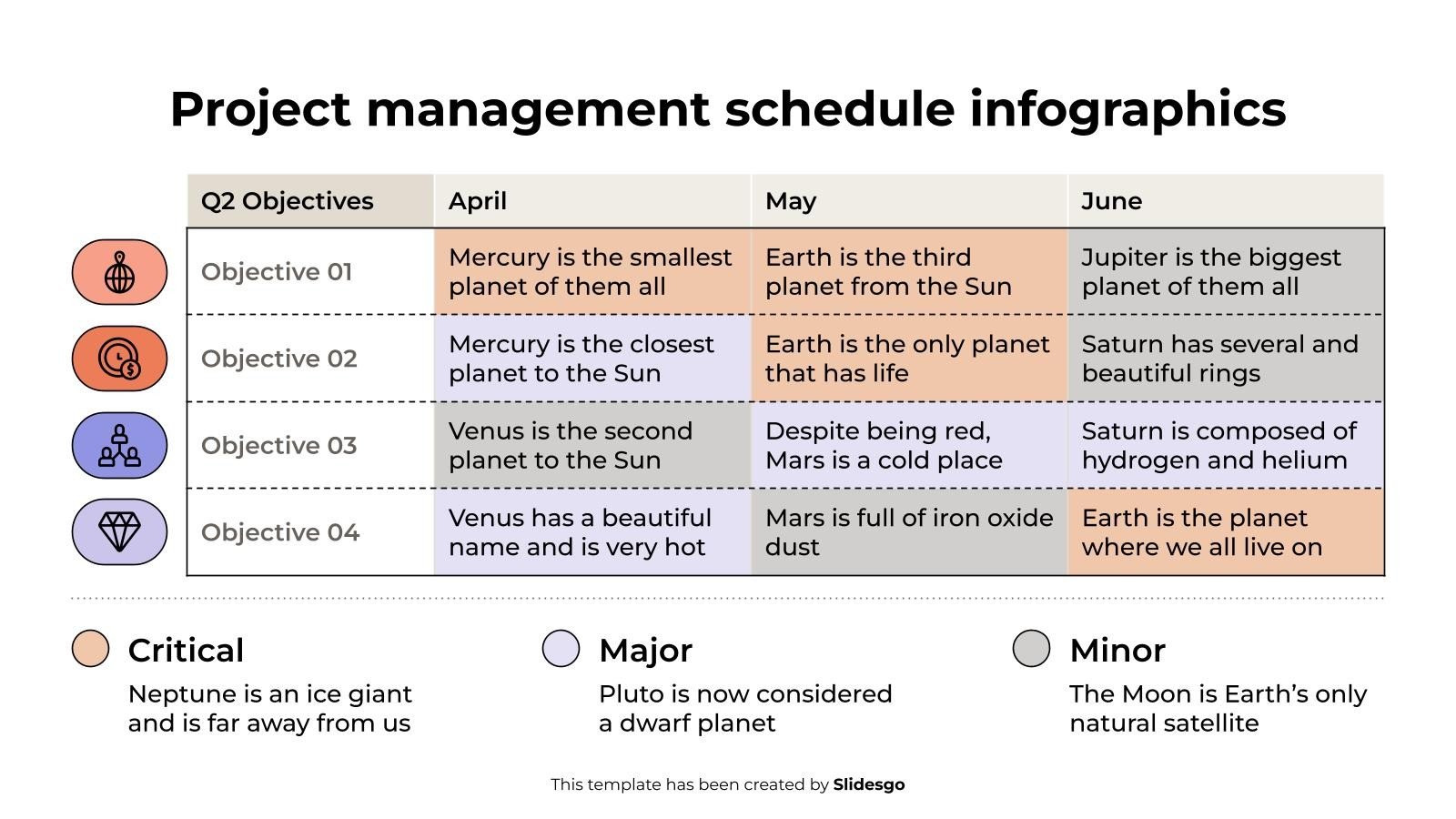 Project Management Schedule Infographics Template