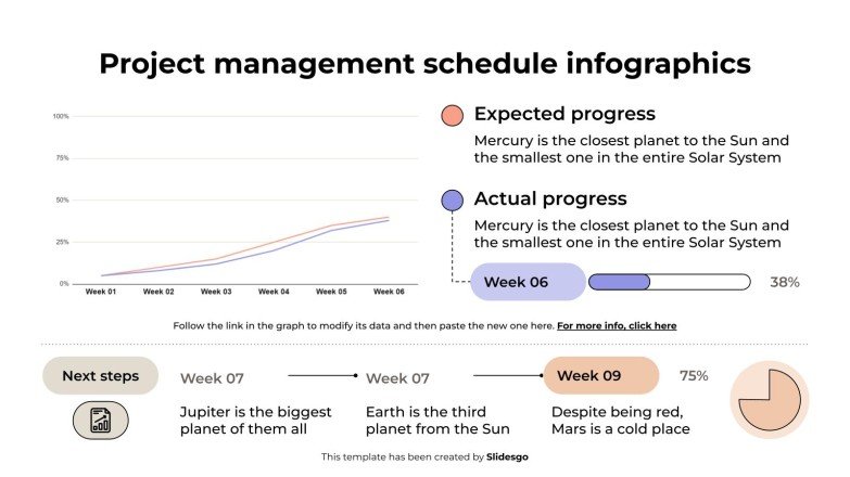 Project Management Schedule Infographics Template