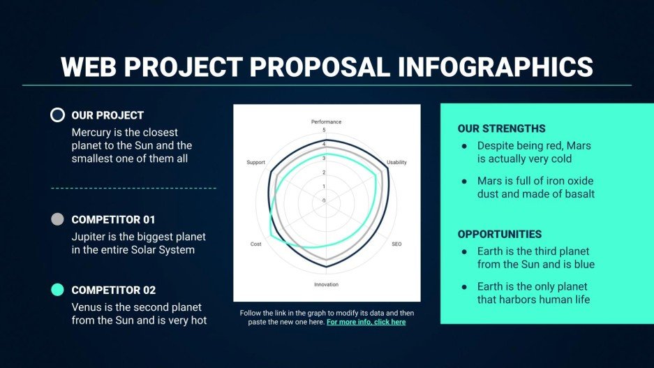 Web Project Proposal Infographics Presentation