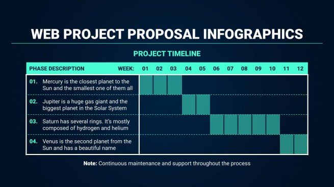 Web Project Proposal Infographics Presentation