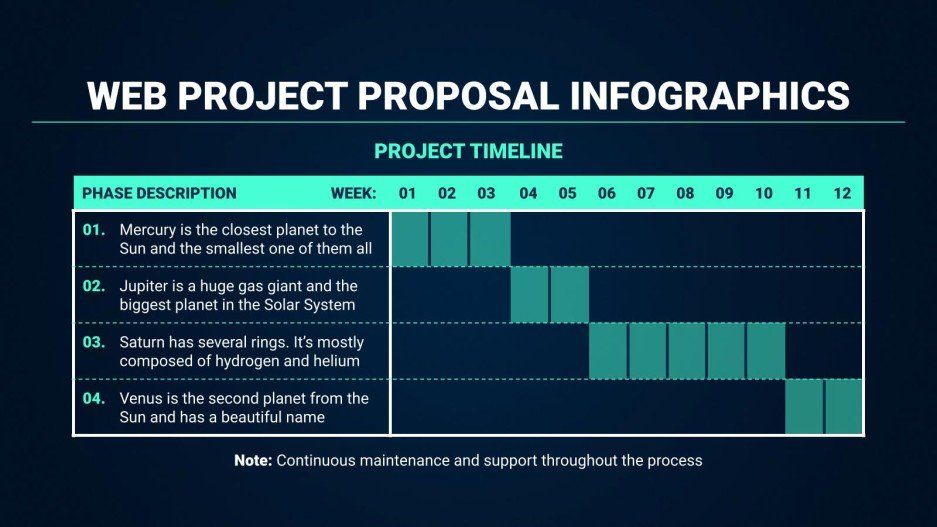 Web Project Proposal Infographics Presentation