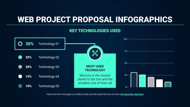 Web Project Proposal Infographics Presentation