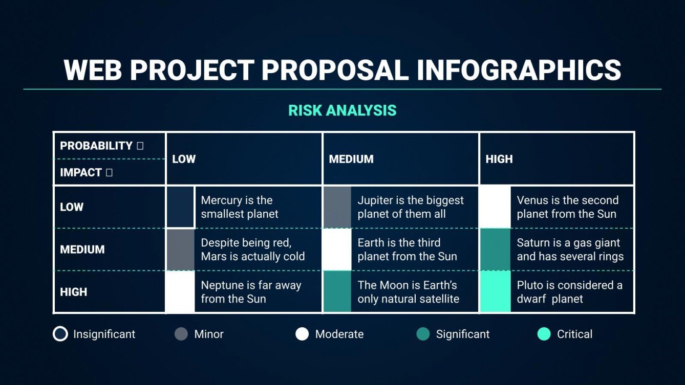 Web Project Proposal Infographics Presentation