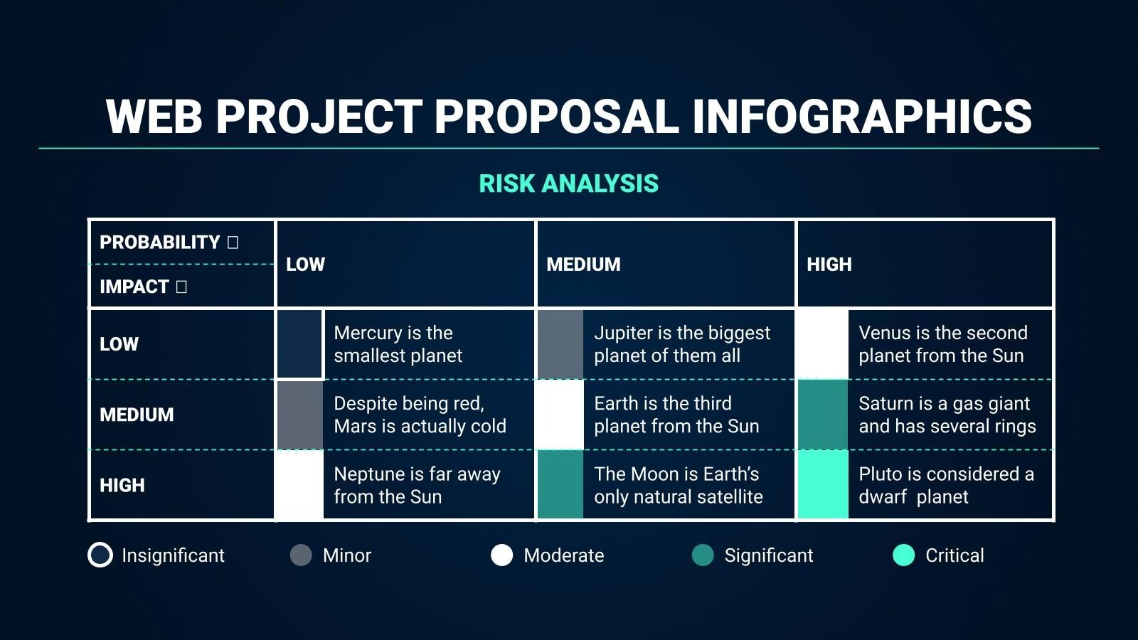 Web Project Proposal Infographics Presentation