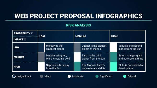Web Project Proposal Infographics Presentation
