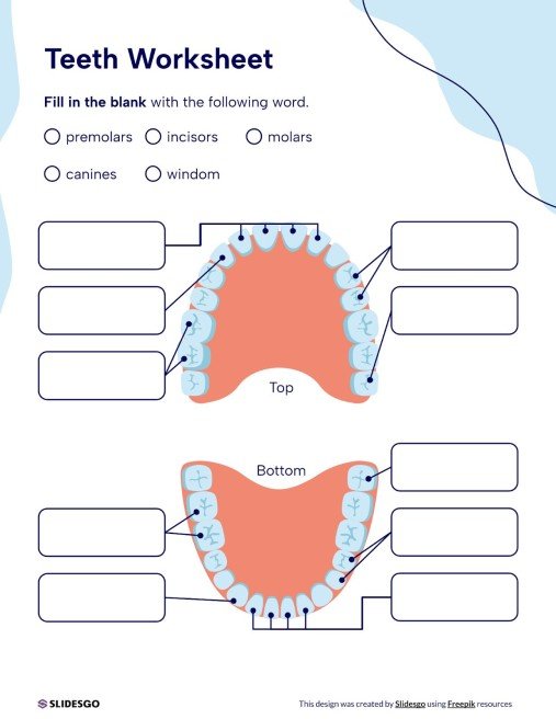 Teeth Worksheet Template