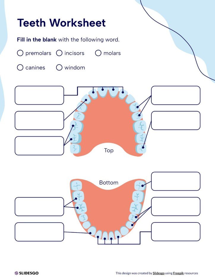 Teeth Worksheet Template
