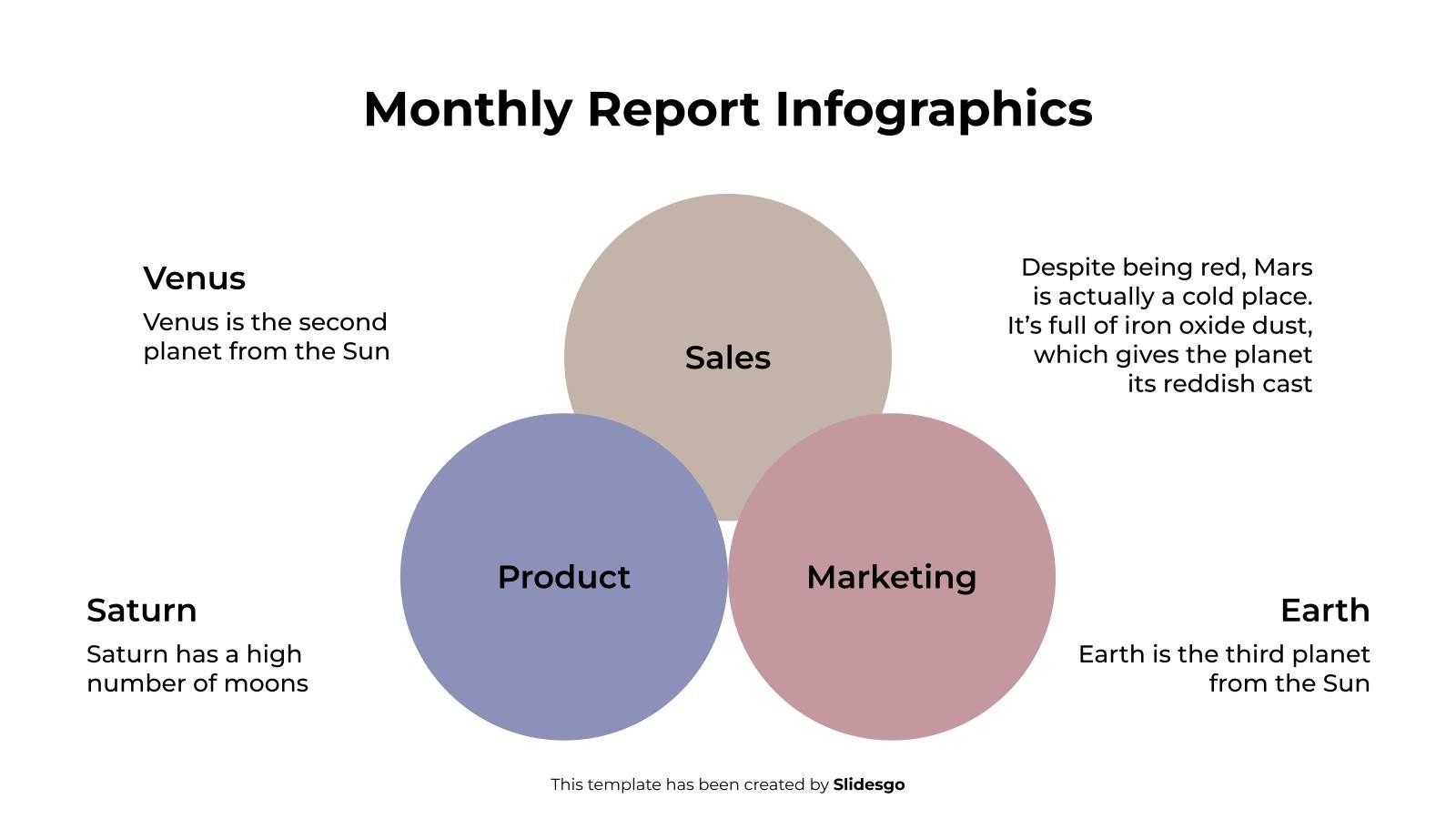 Monthly Report Infographics Template