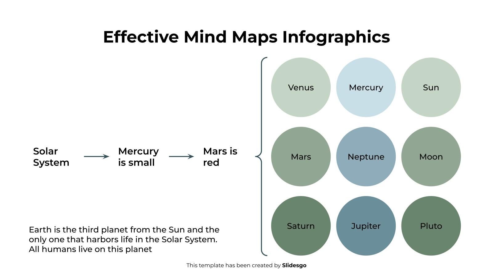 Effective Mind Maps Infographics Template