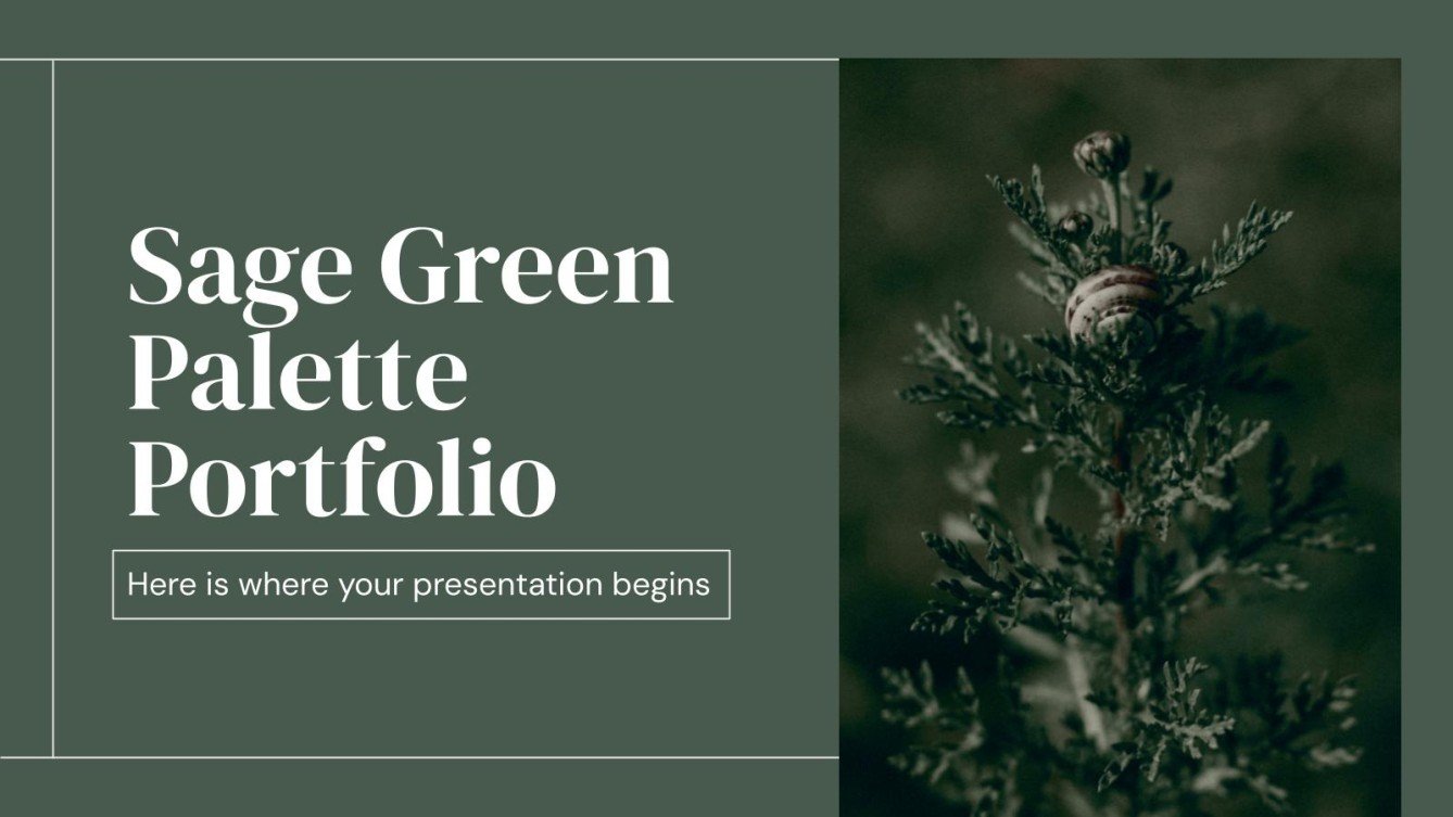 Sage Green Palette Portfolio