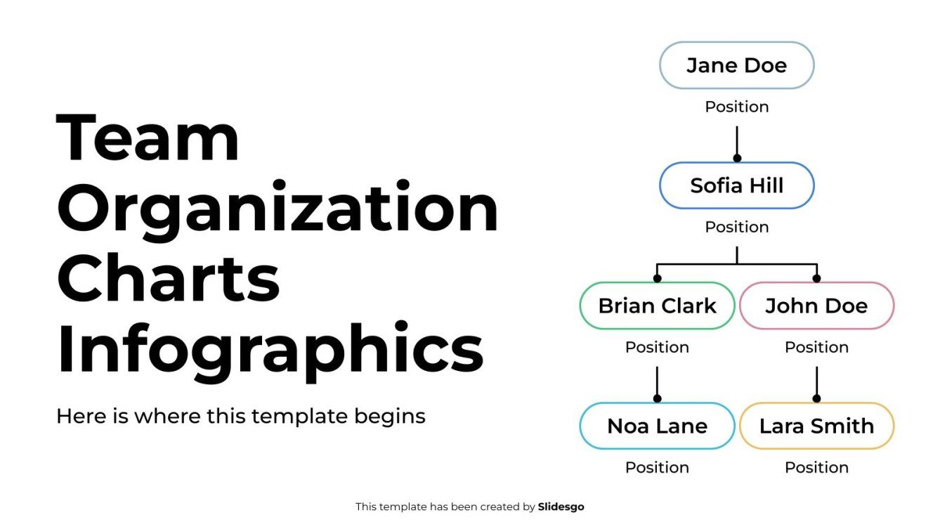 Team Organization Charts Infographics Template