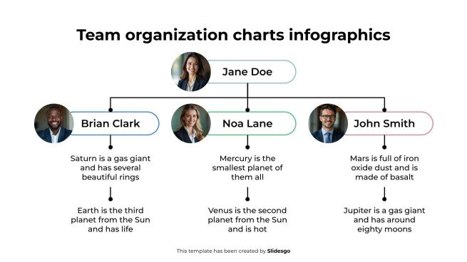 Team Organization Charts Infographics Template