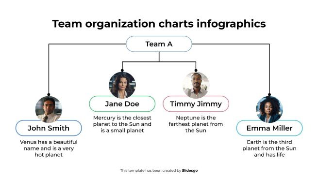 Team Organization Charts Infographics Template