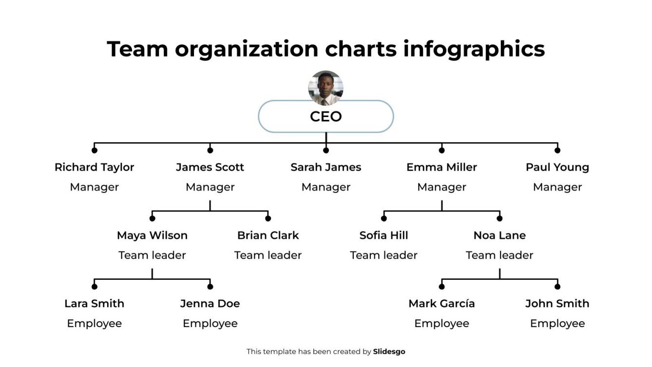 Team Organization Charts Infographics Template