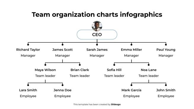 Team Organization Charts Infographics Template