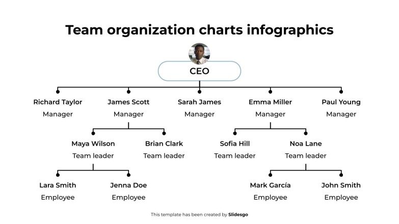 Team Organization Charts Infographics Template