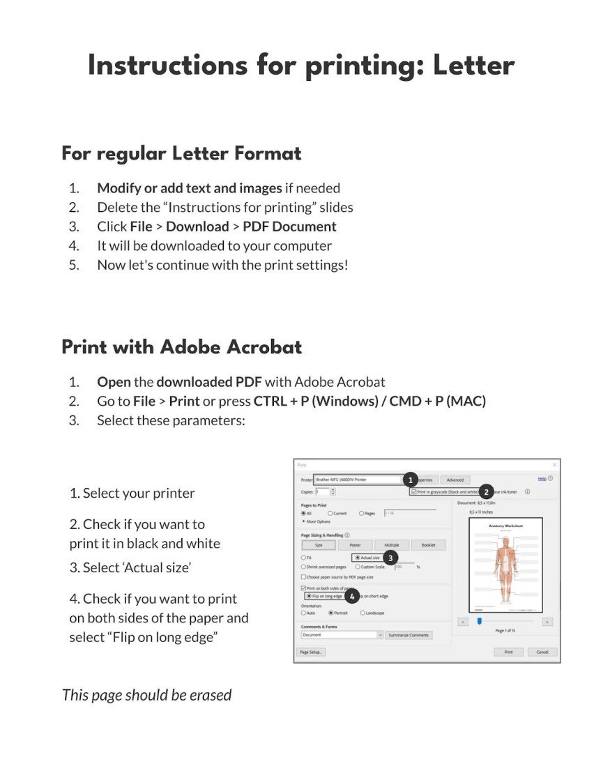 Anatomy Worksheet Presentation