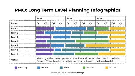 PMO: Long Term Level Planning Infographics Template