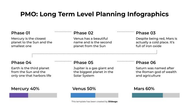 PMO: Long Term Level Planning Infographics Template