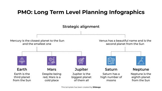 PMO: Long Term Level Planning Infographics Template