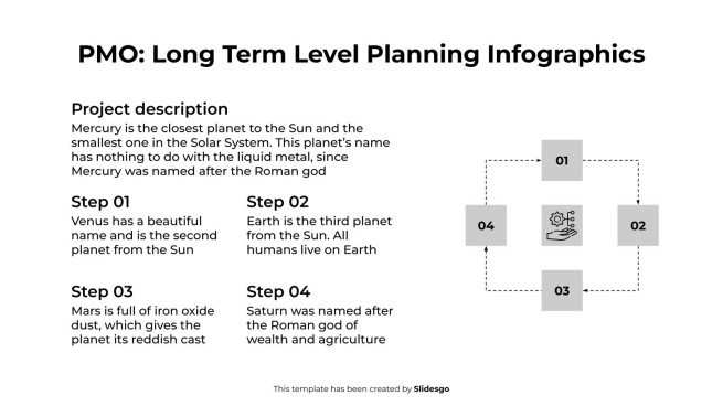 PMO: Long Term Level Planning Infographics Template