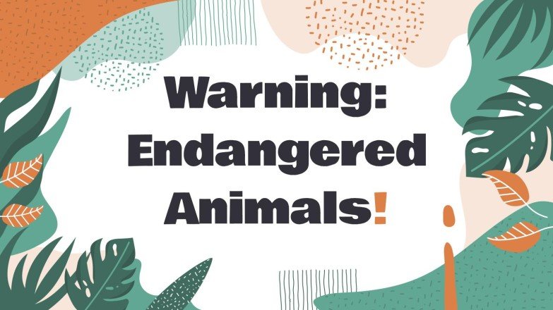 Warning, Endangered Animals! Presentation