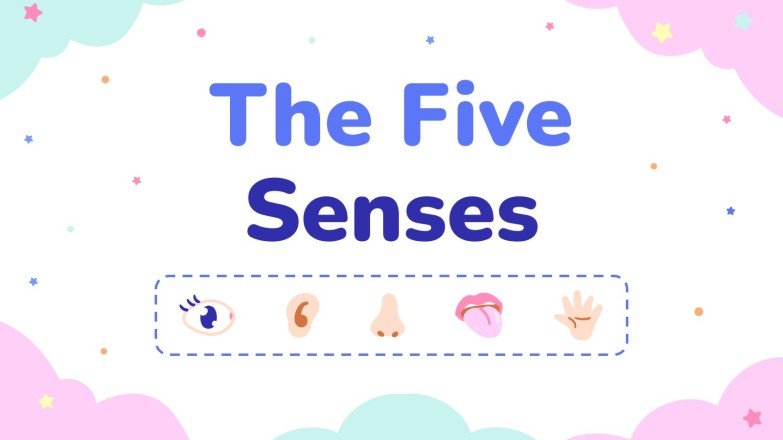 The Five Senses Presentation