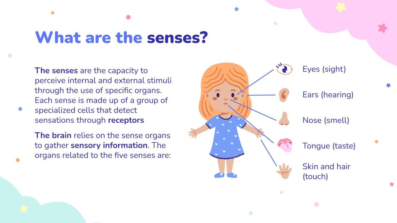 The Five Senses Presentation