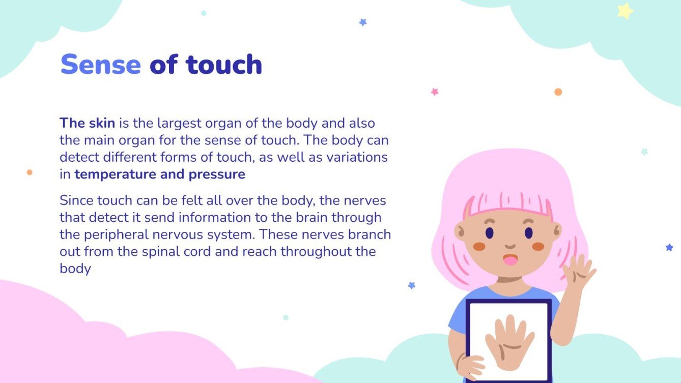 The Five Senses Presentation