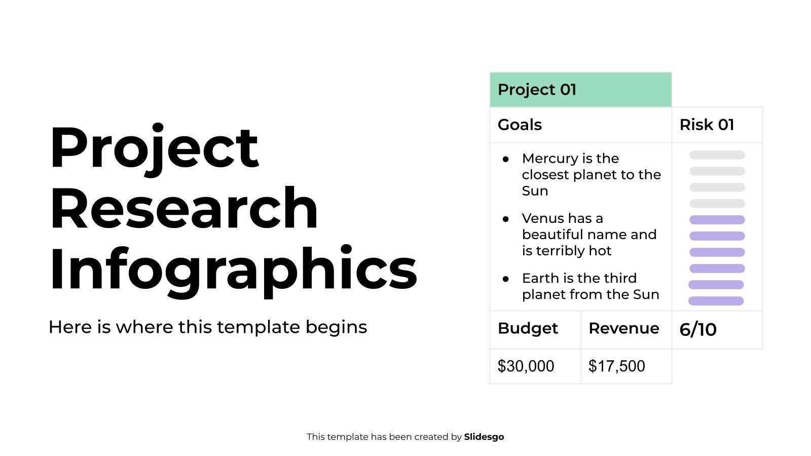 Project Research Infographics Presentation