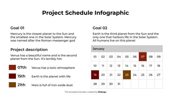 Project Schedule Infographics Template
